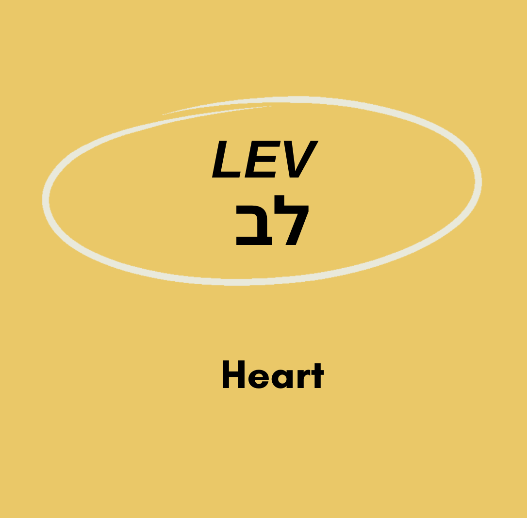Video – Toronto Messianic Centre